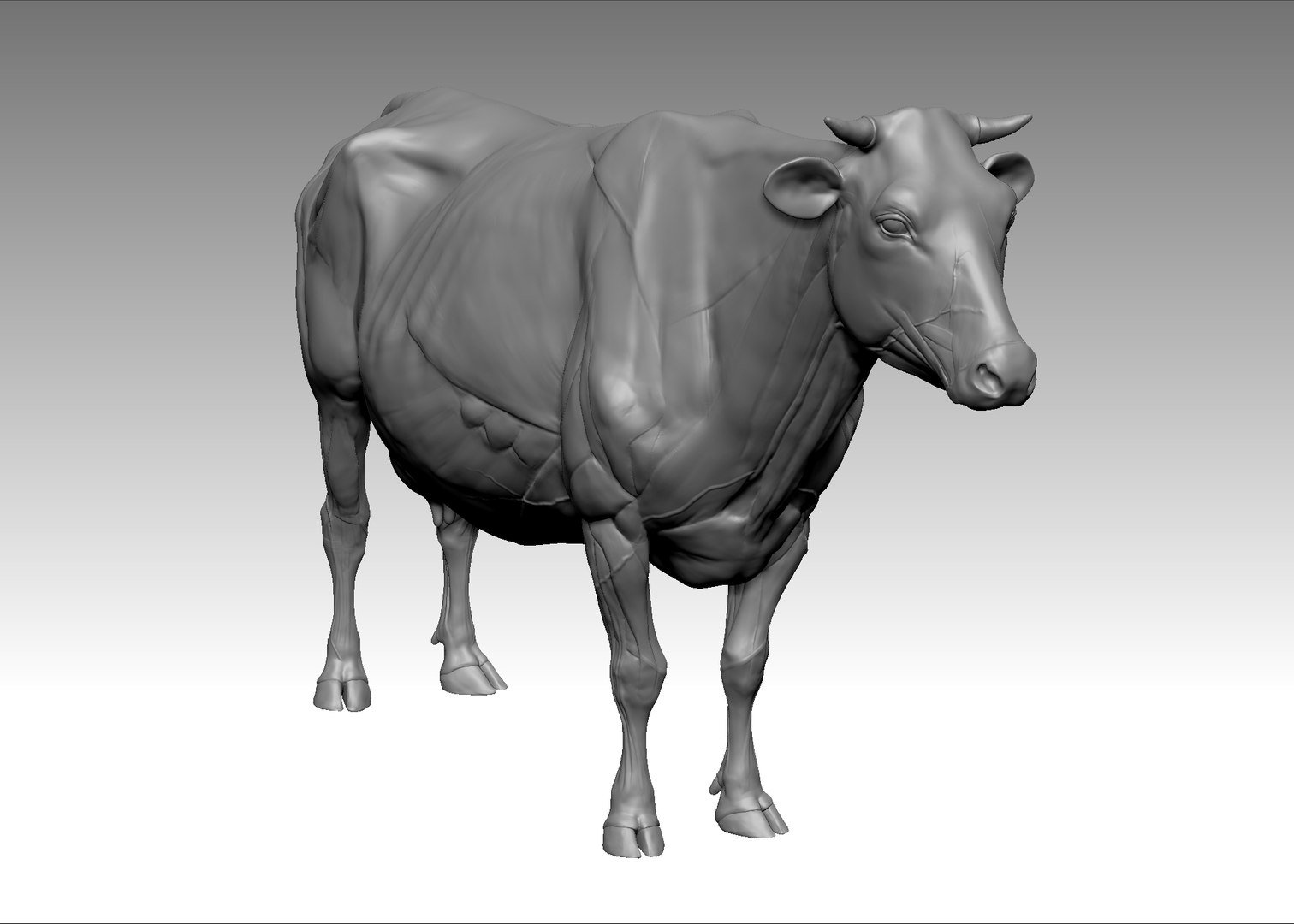 3D cow anatomy structure model - TurboSquid 1164878