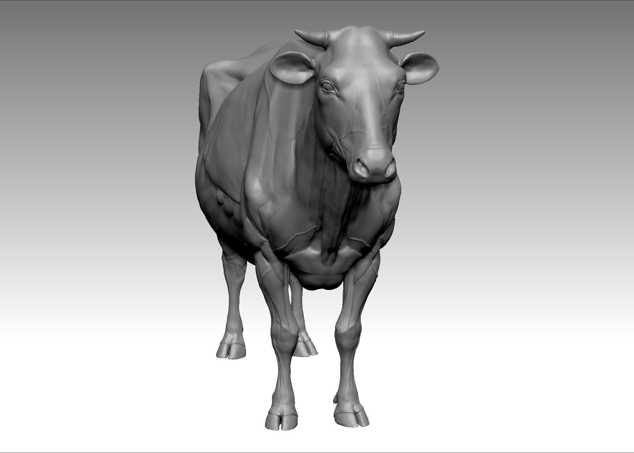 3D cow anatomy structure model - TurboSquid 1164878
