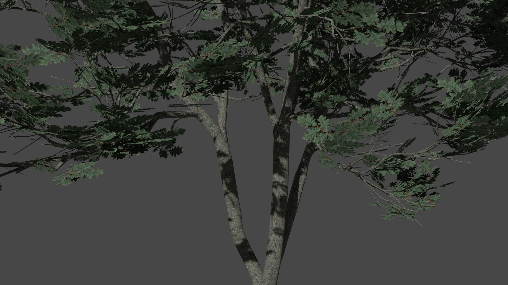 Tree Leaf 3D Model - TurboSquid 1614312
