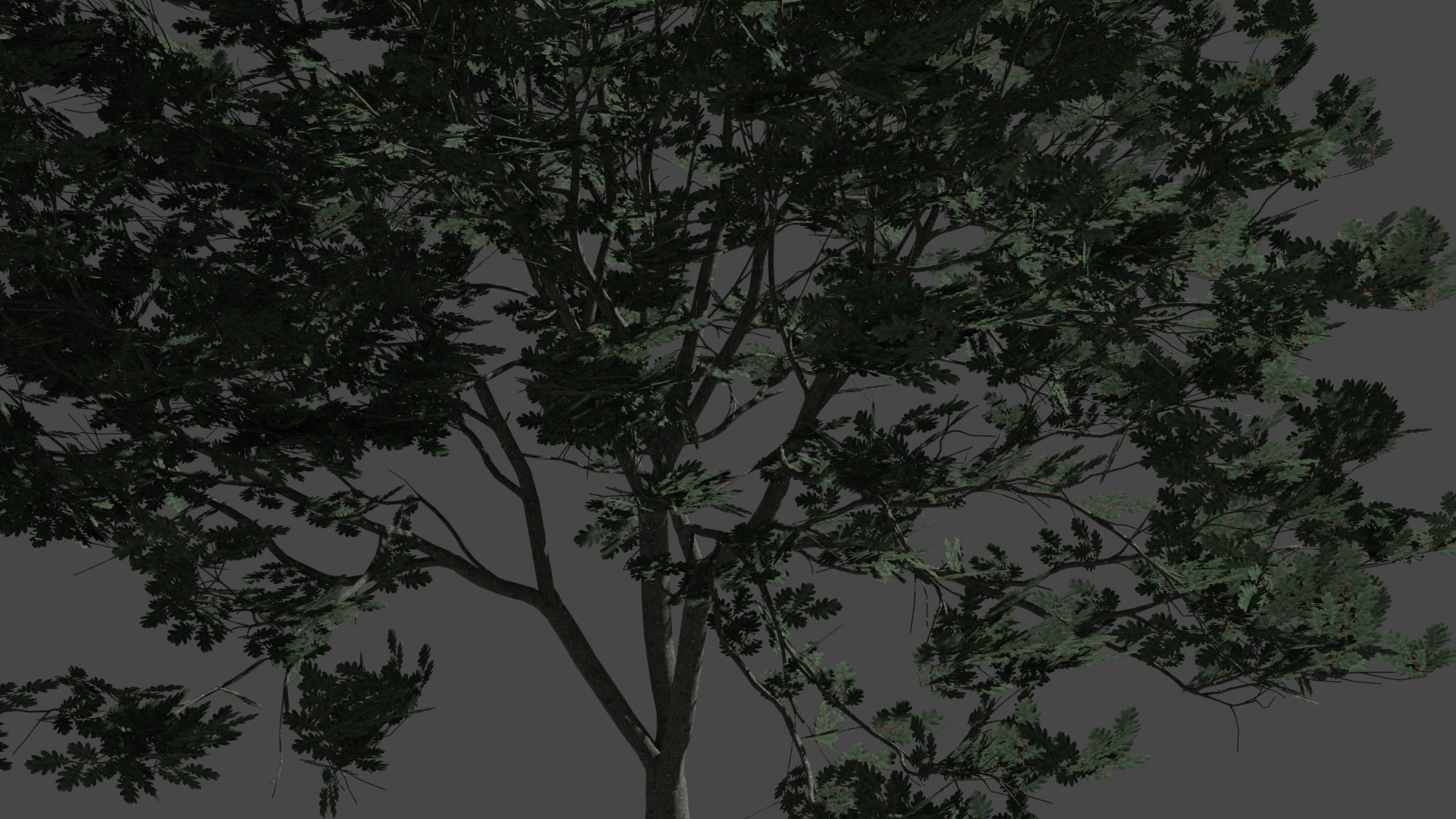 Tree Leaf 3D Model - TurboSquid 1614312