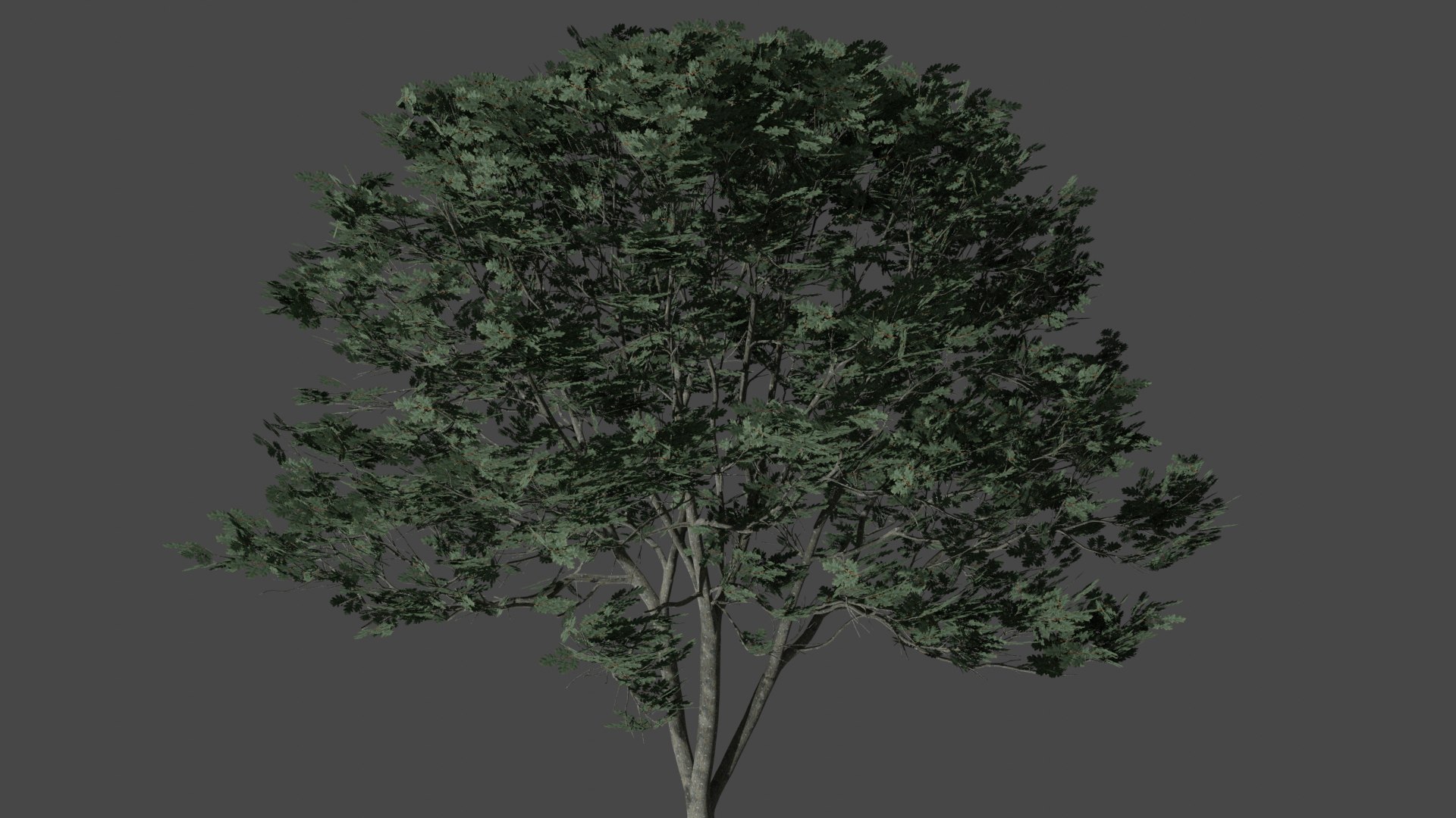 Tree Leaf 3D Model - TurboSquid 1614312