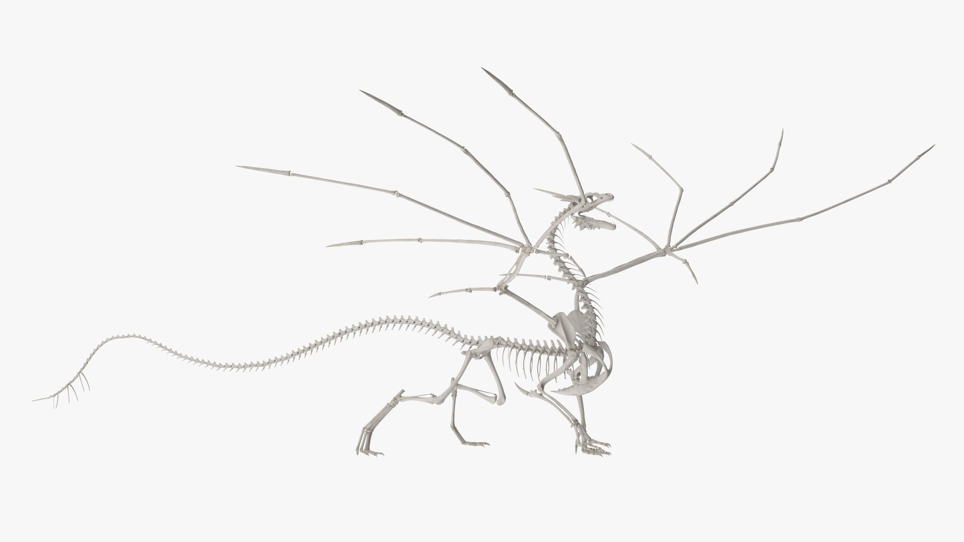 3D Model Dragon Skeleton Rigged - TurboSquid 2367797