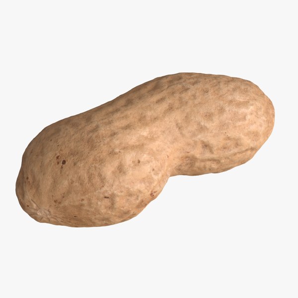 Peanut Unshelled Double Pod 2 model - TurboSquid 1942786