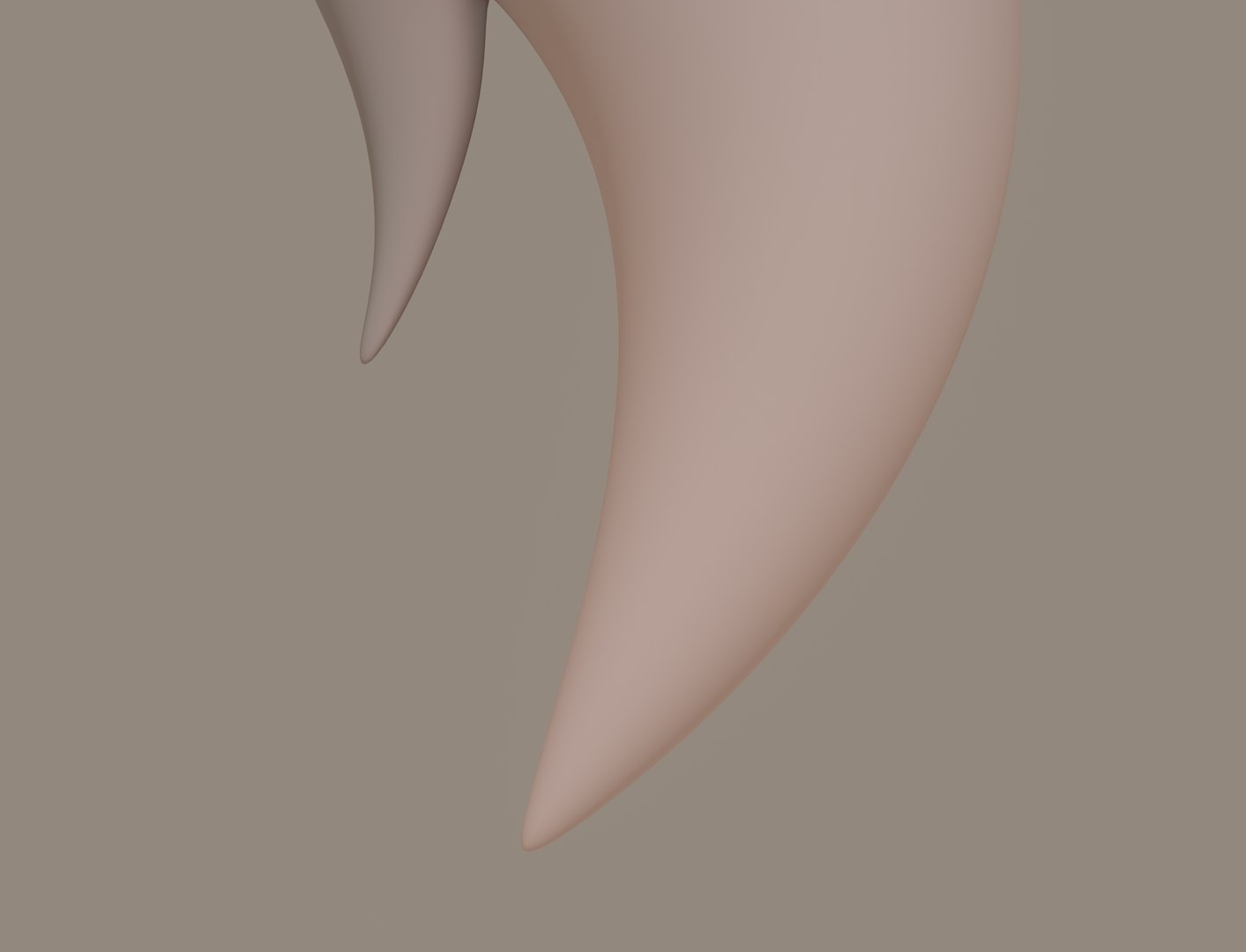 3D Fox Tail Model - TurboSquid 2058318