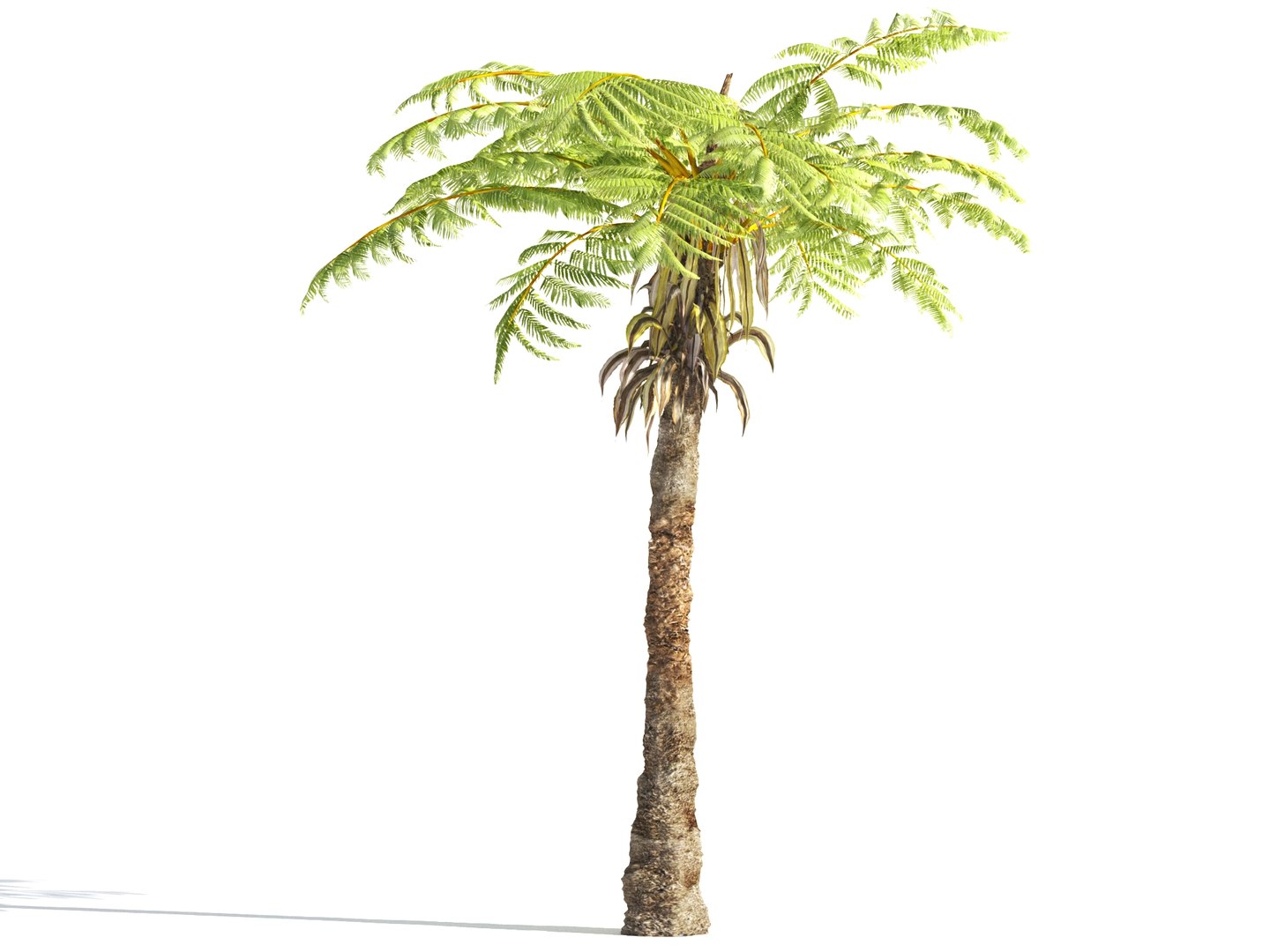 3D prehistoric plants tree model - TurboSquid 1673980