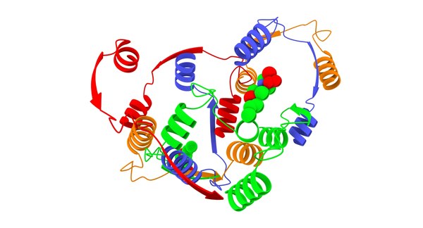 3d animation enzymes model