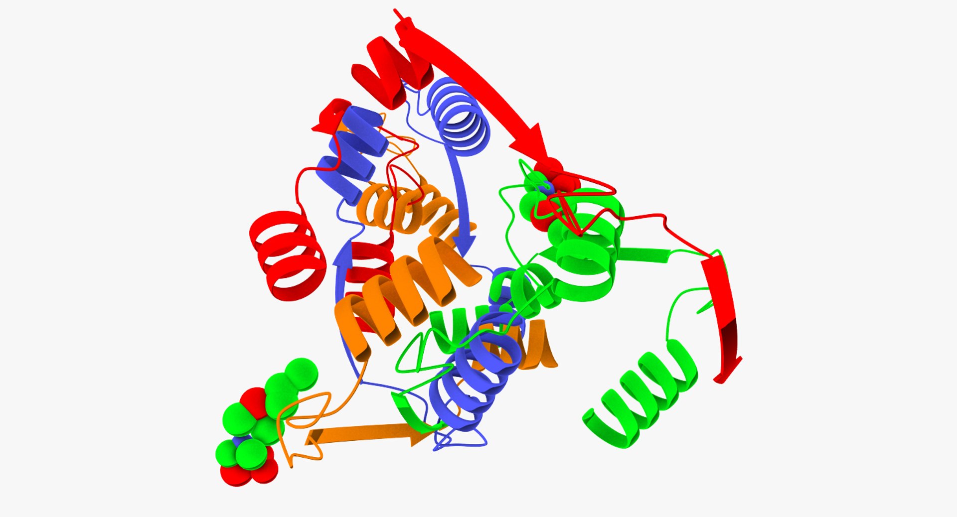 3d Animation Enzymes Model
