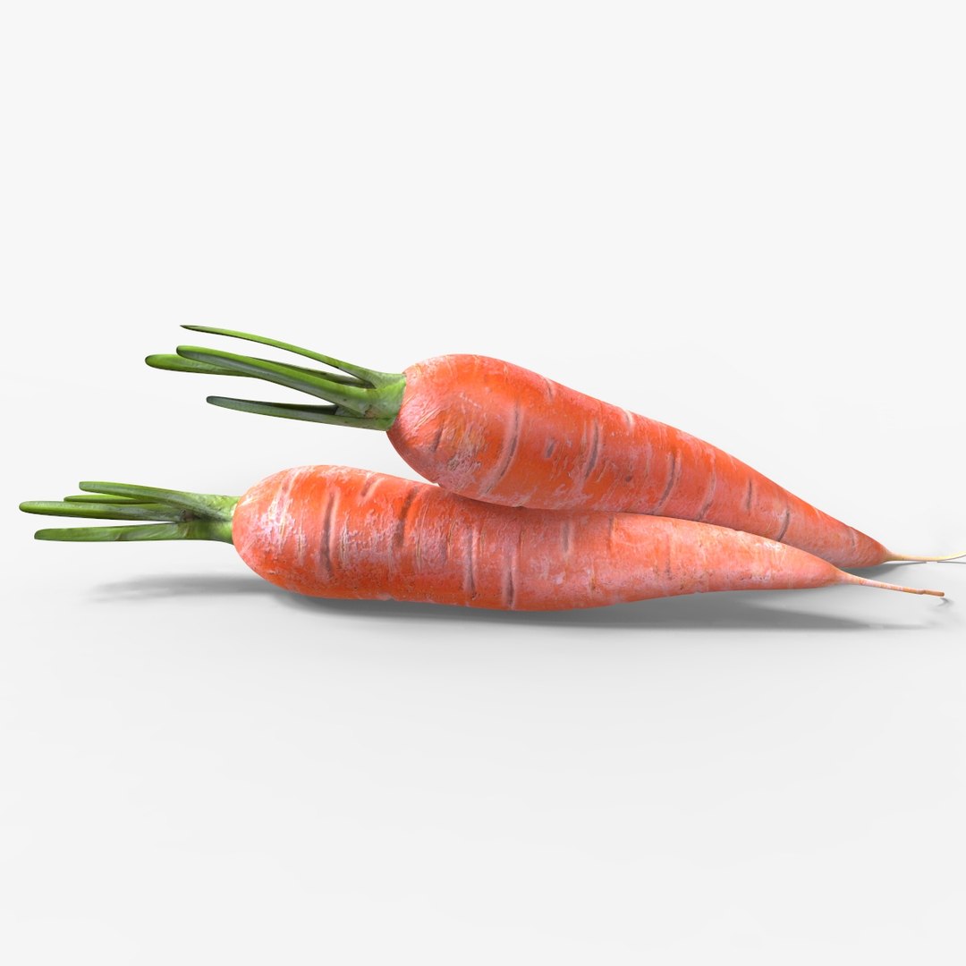 Carrot 3D Model - TurboSquid 1541309