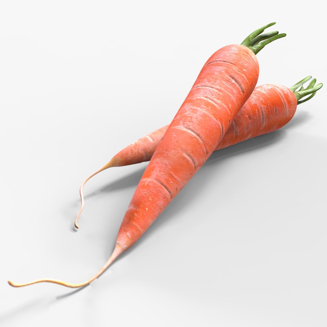 Carrot 3D Model - TurboSquid 1541309