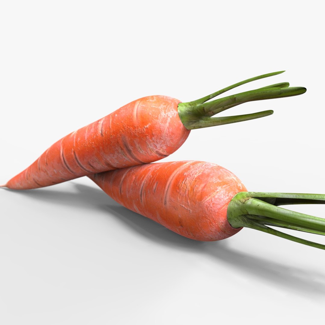 Carrot 3D Model - TurboSquid 1541309