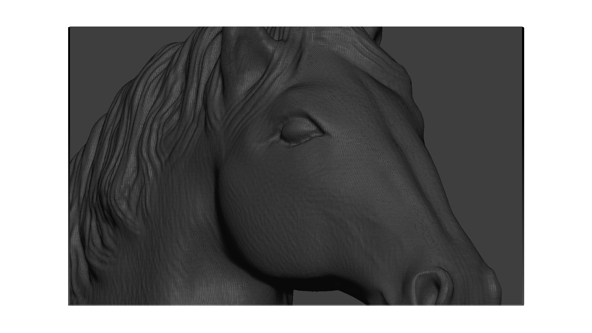 3D Cavallo rampante - Rampant Horse - TurboSquid 2161082