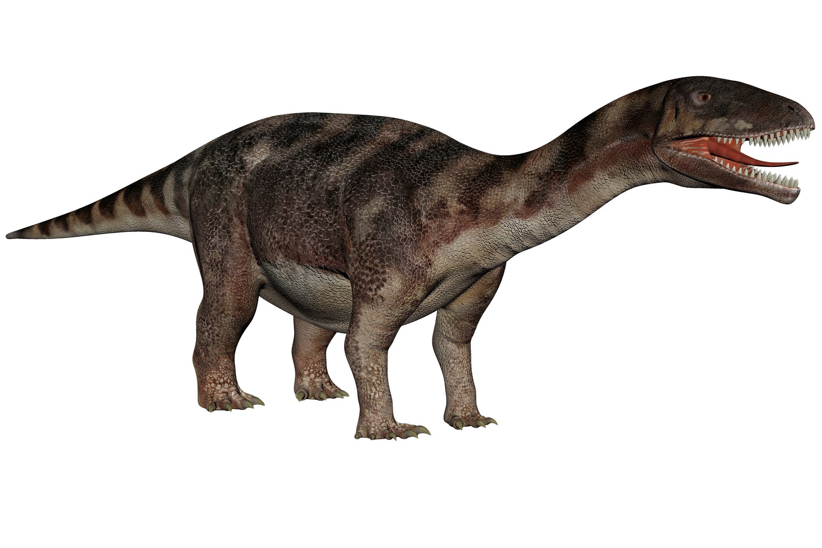 Lessemsaurus Dinosaur Triassic Animal 3D Model - TurboSquid 2335436