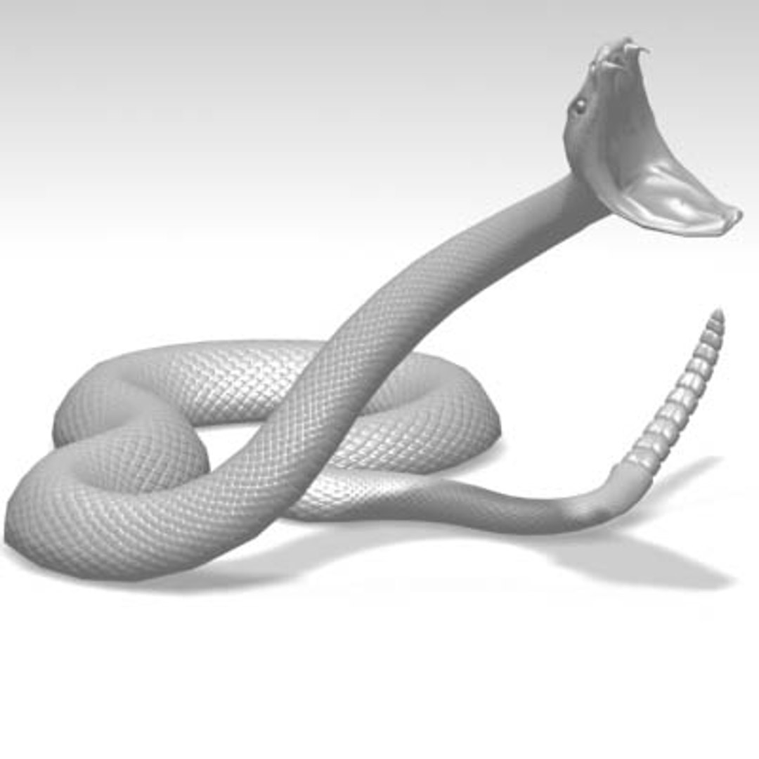 Snake Rattlesnake 3d Model