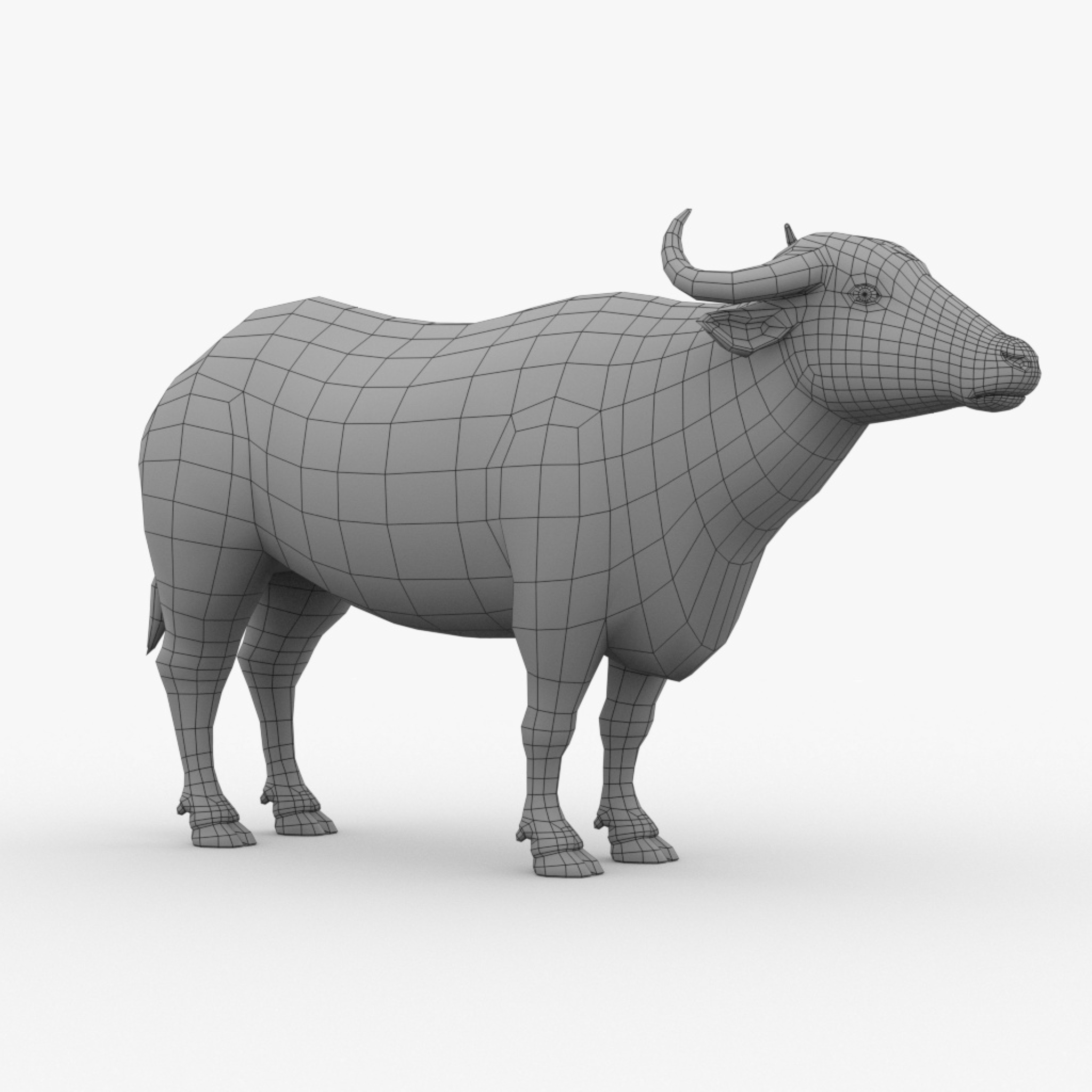 3D модель water buffalo basemesh - TurboSquid 2007183