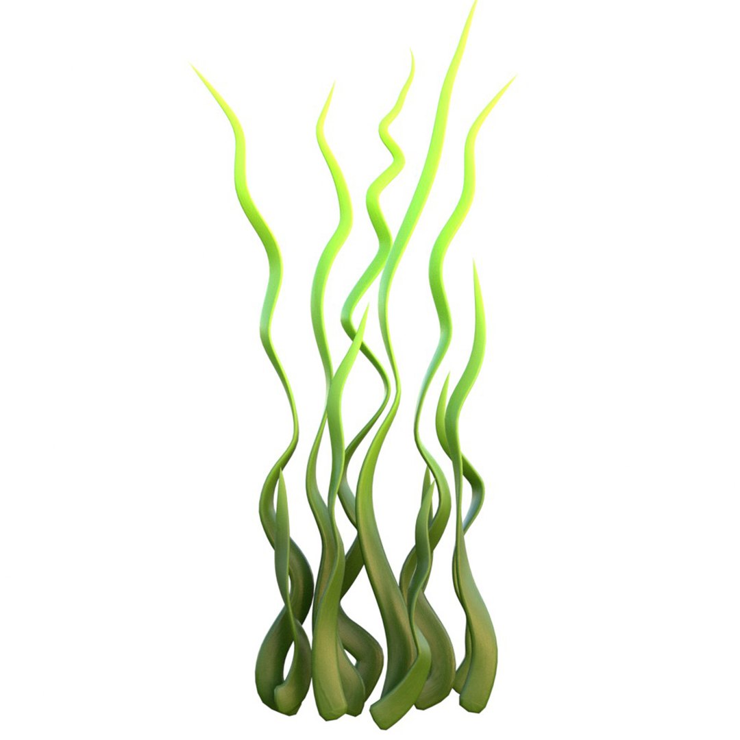 Seaweed 8 3D Model - TurboSquid 2457386