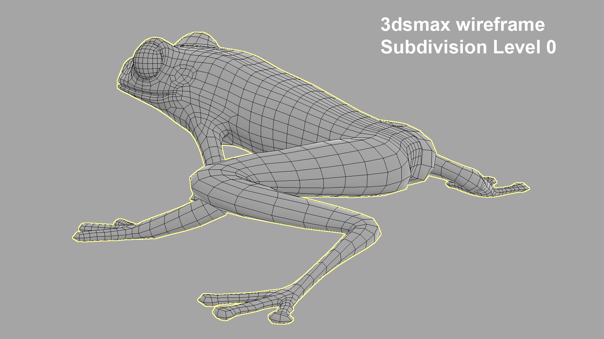 3D Red Eyed Tree Frog - TurboSquid 2187320