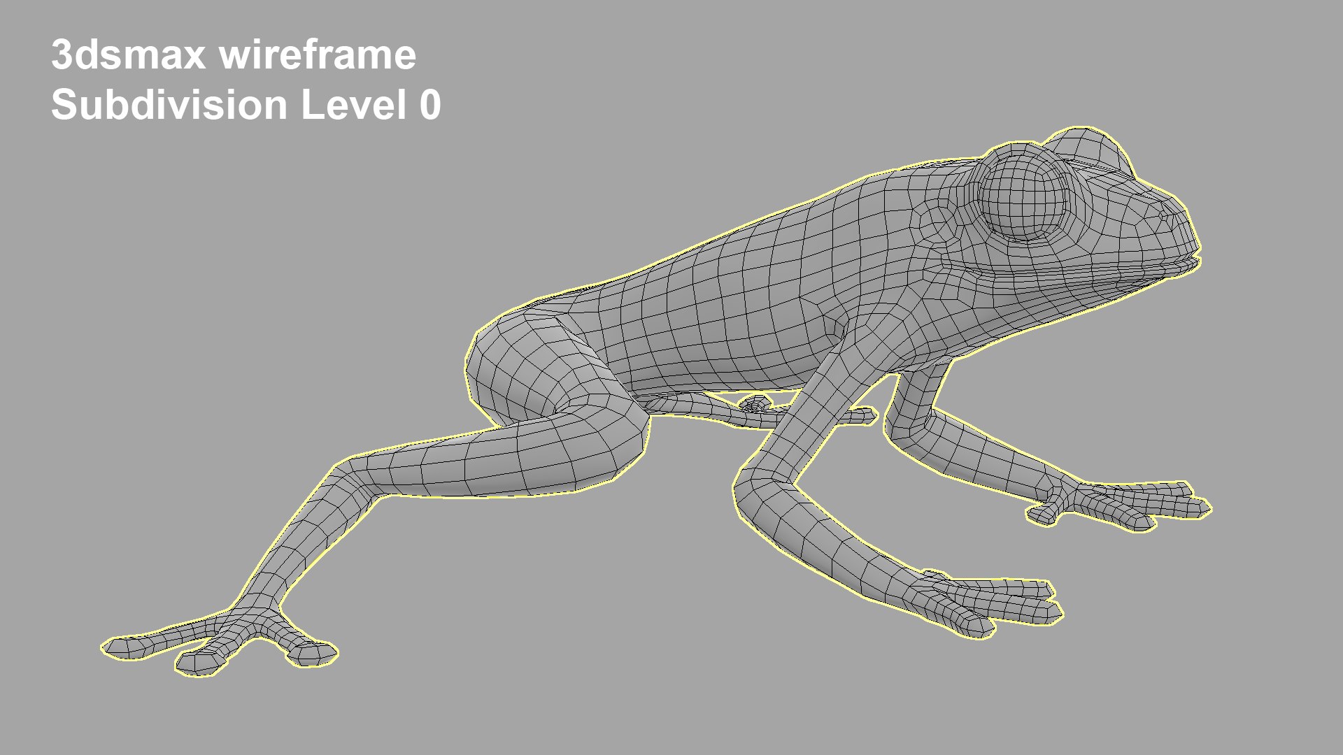 3D Red Eyed Tree Frog - TurboSquid 2187320