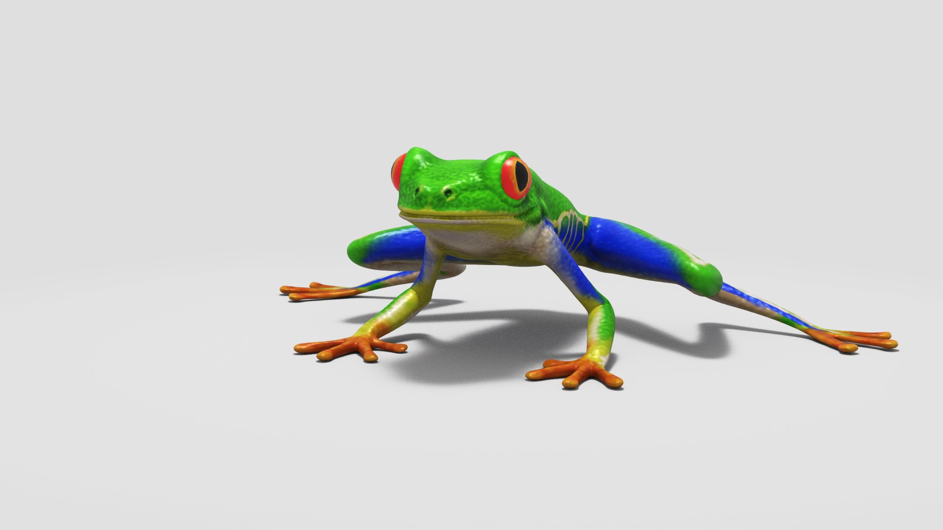 3D Red Eyed Tree Frog - TurboSquid 2187320