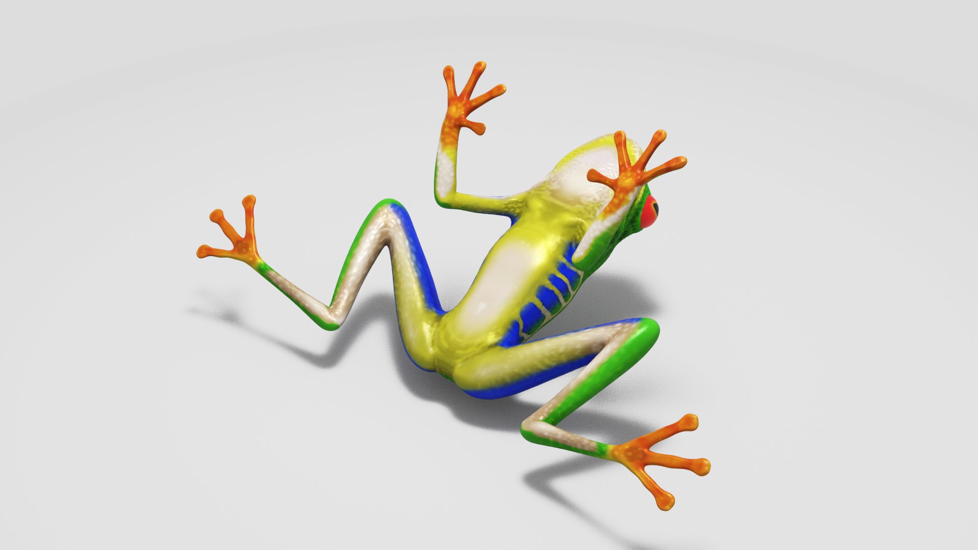 3D Red Eyed Tree Frog - TurboSquid 2187320