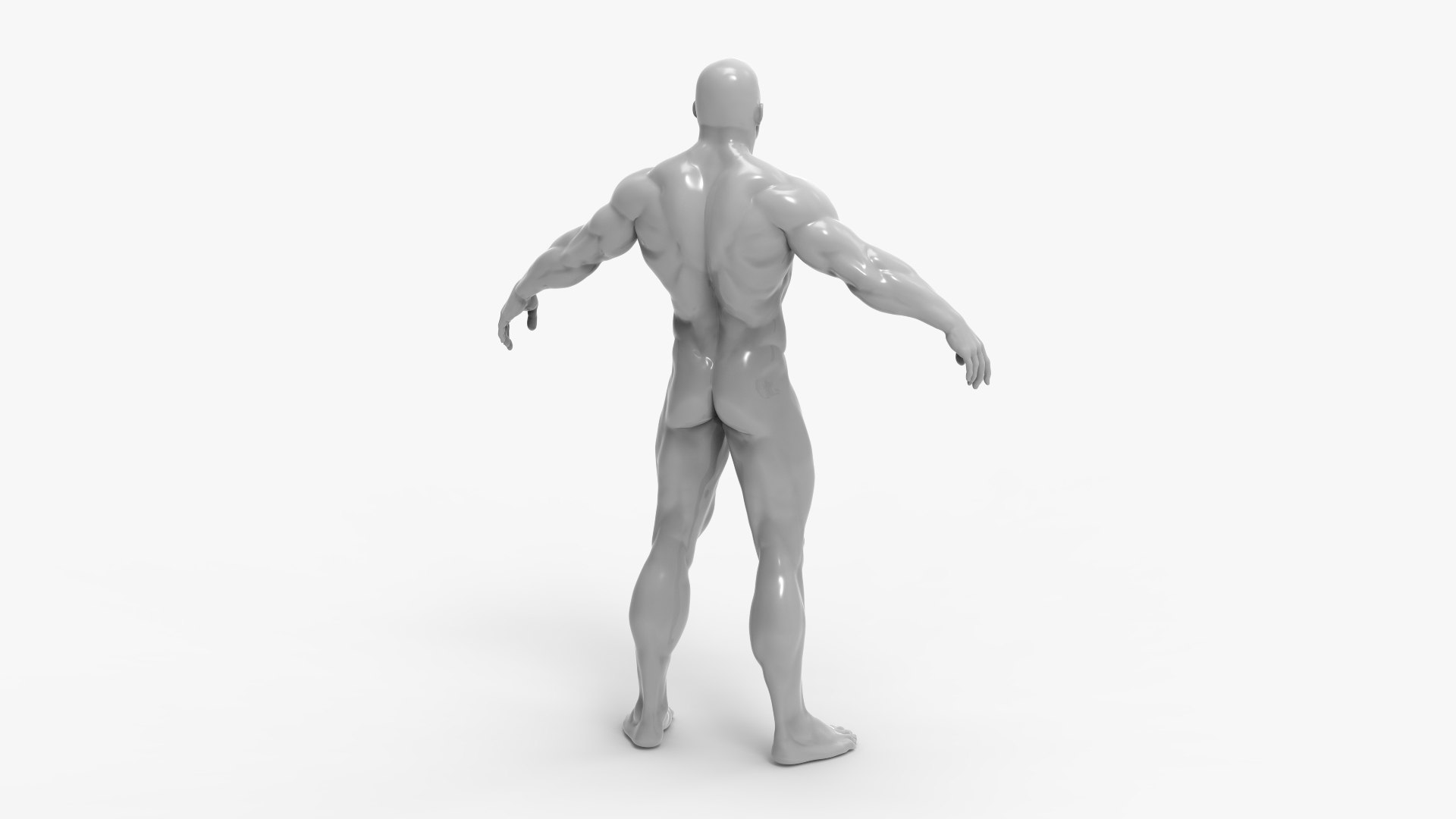 Muscle Man Character 3D - TurboSquid 2188649