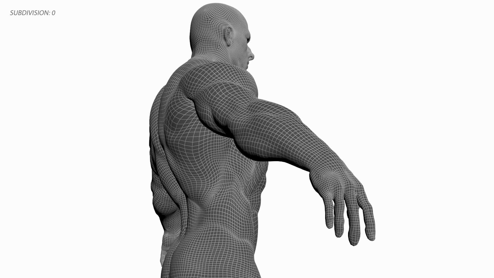 Muscle Man Character 3D - TurboSquid 2188649