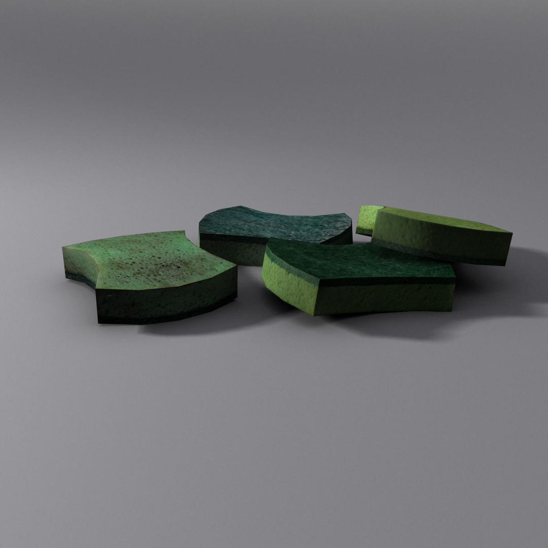 max final sponge clean dirty