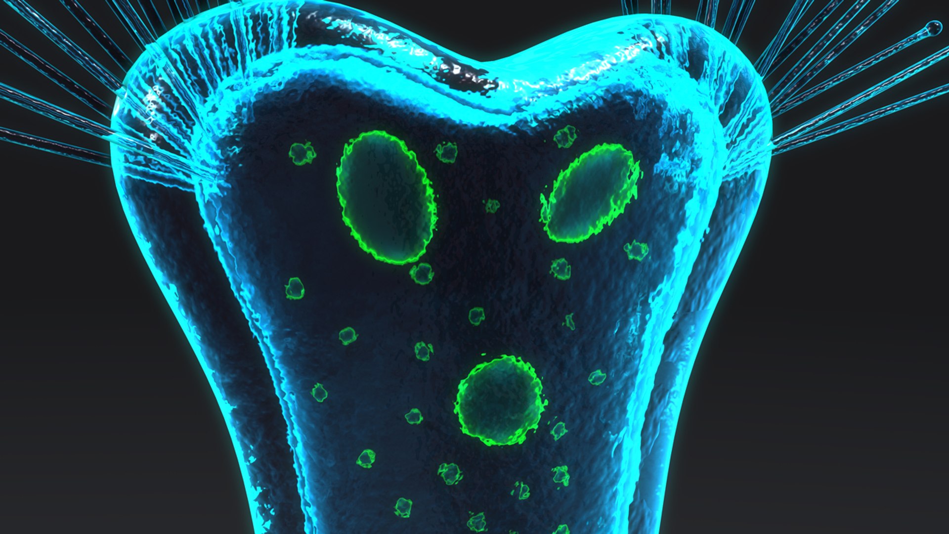 Acineta Protozoa 3d Model