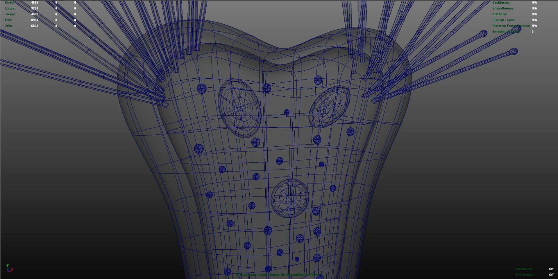 Acineta Protozoa 3d Model