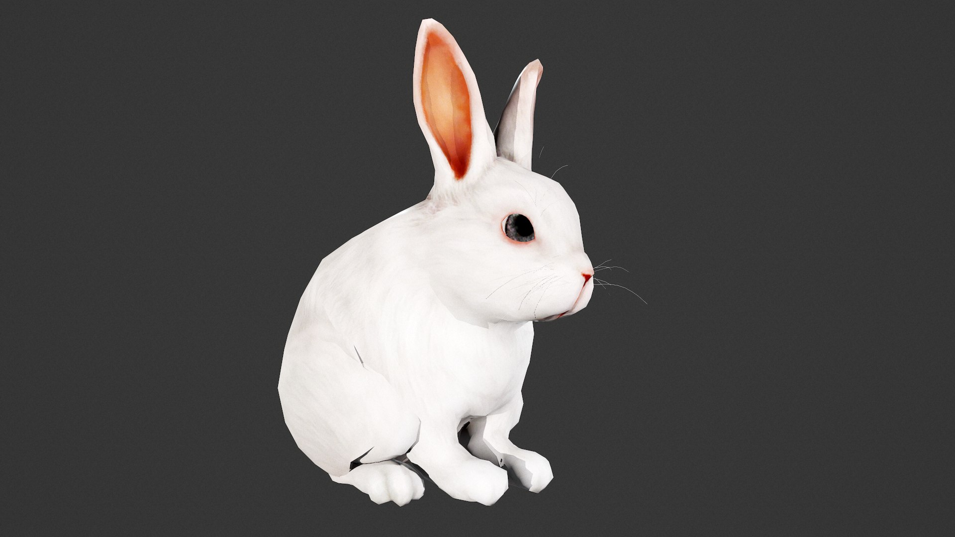 Animated rabbit 3D model - TurboSquid 2152677