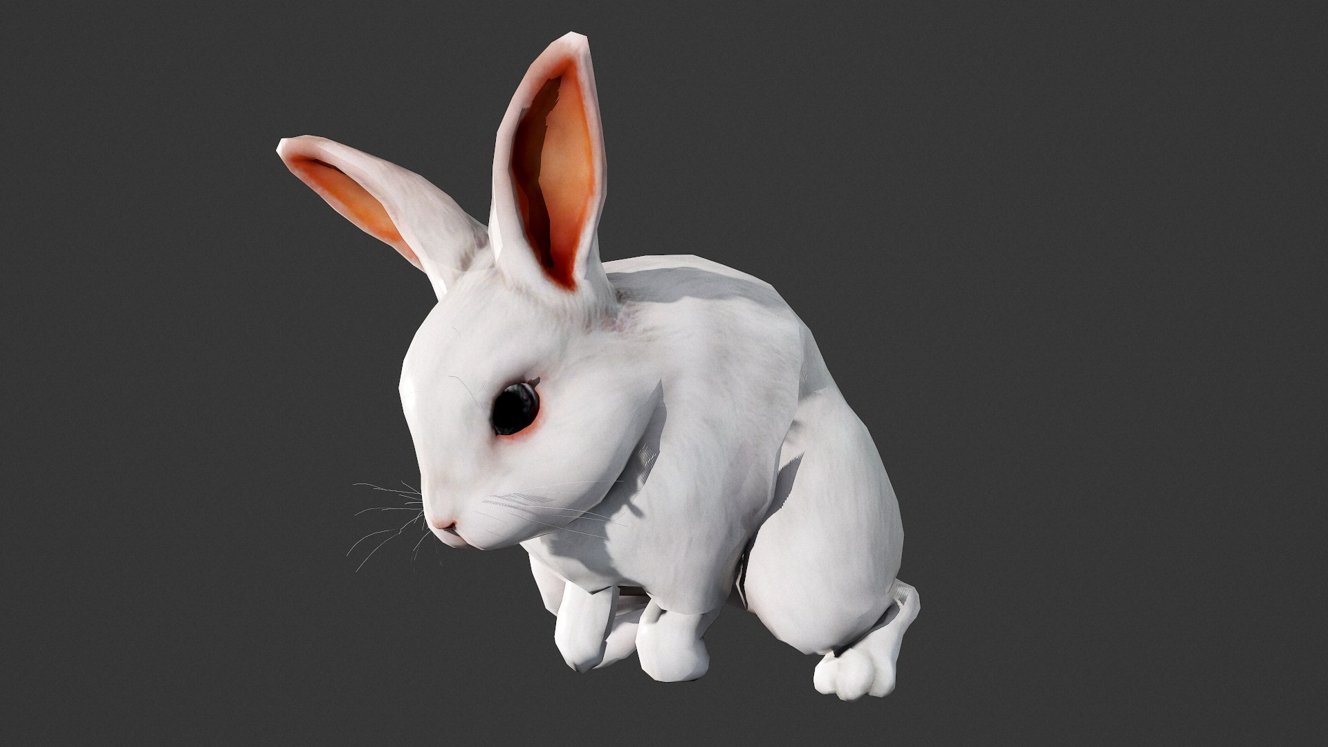 Animated rabbit 3D model - TurboSquid 2152677