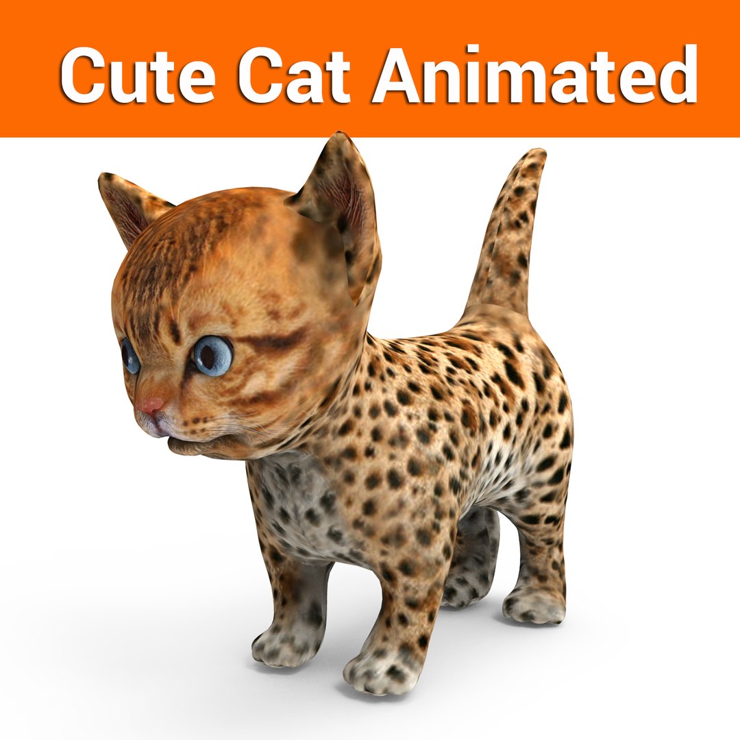 Cute Cat Animation Model - TurboSquid 1218720