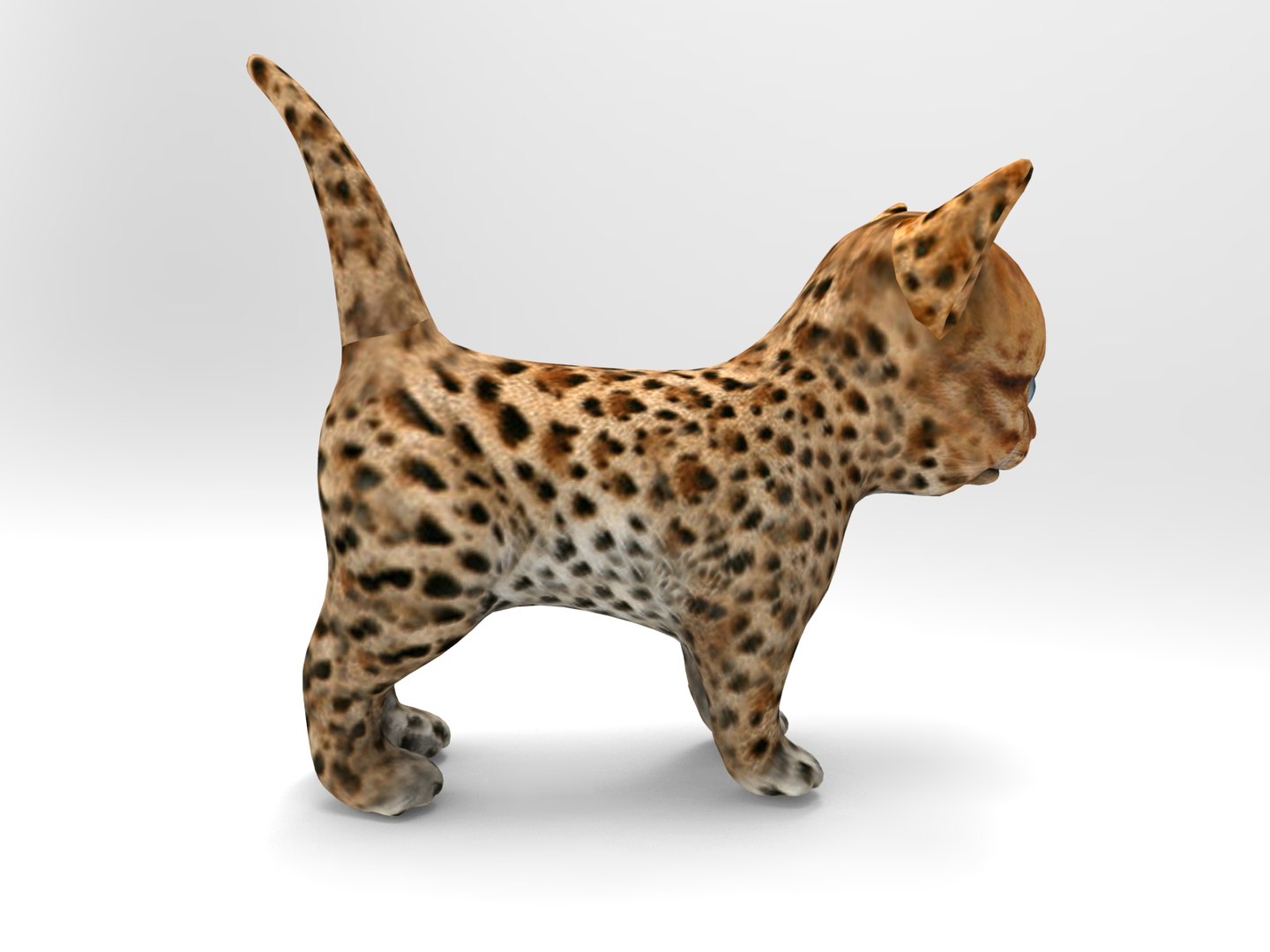 Cute Cat Animation Model - TurboSquid 1218720