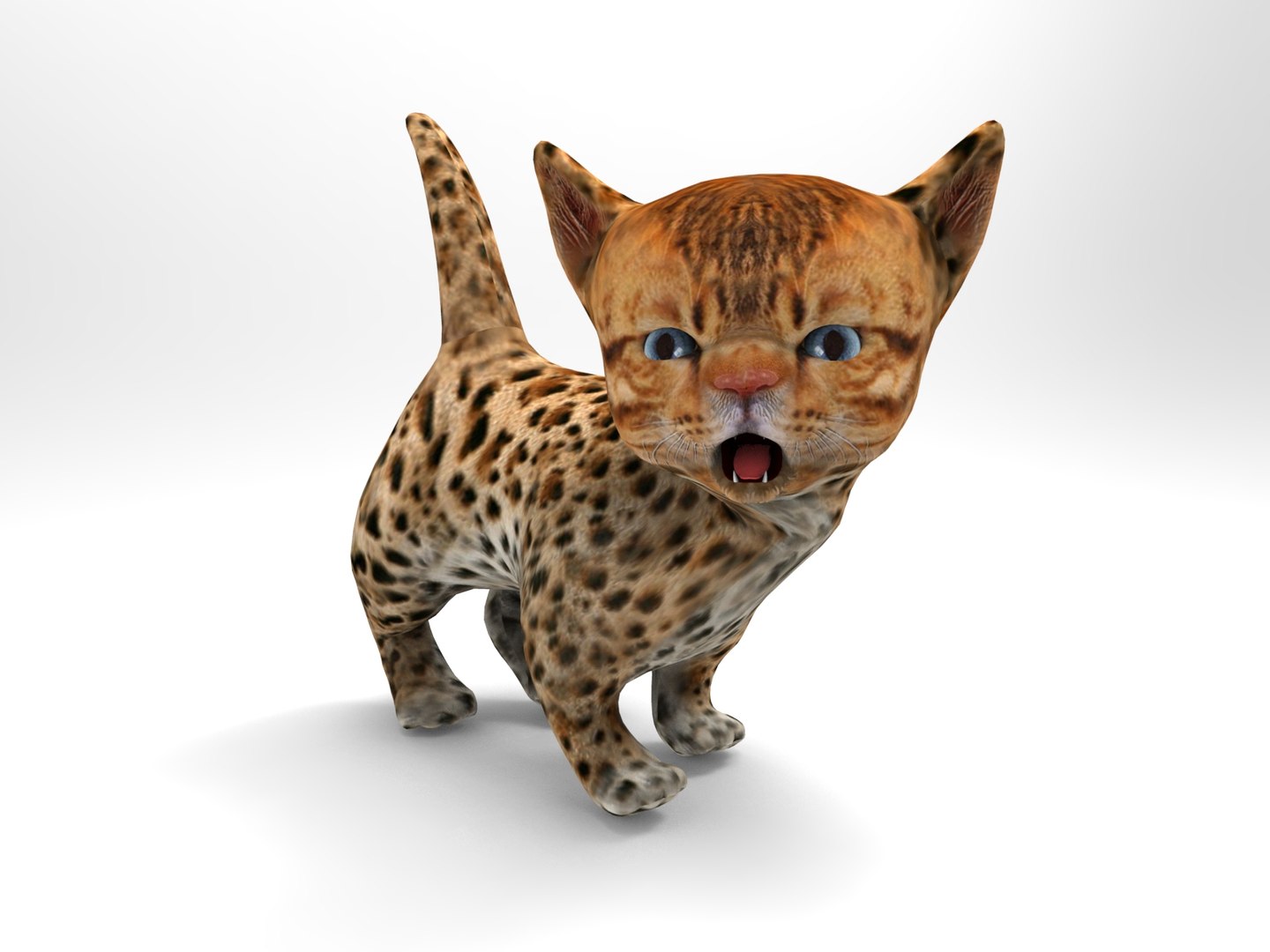 Cute Cat Animation Model - TurboSquid 1218720