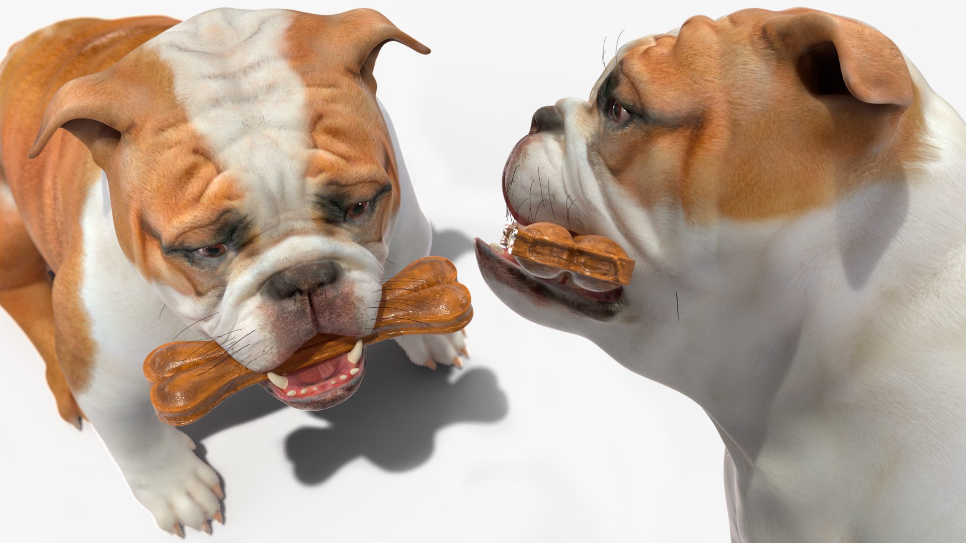 Bulldog With A Chewing Bone In His Mouth 3D Model - TurboSquid 2180790