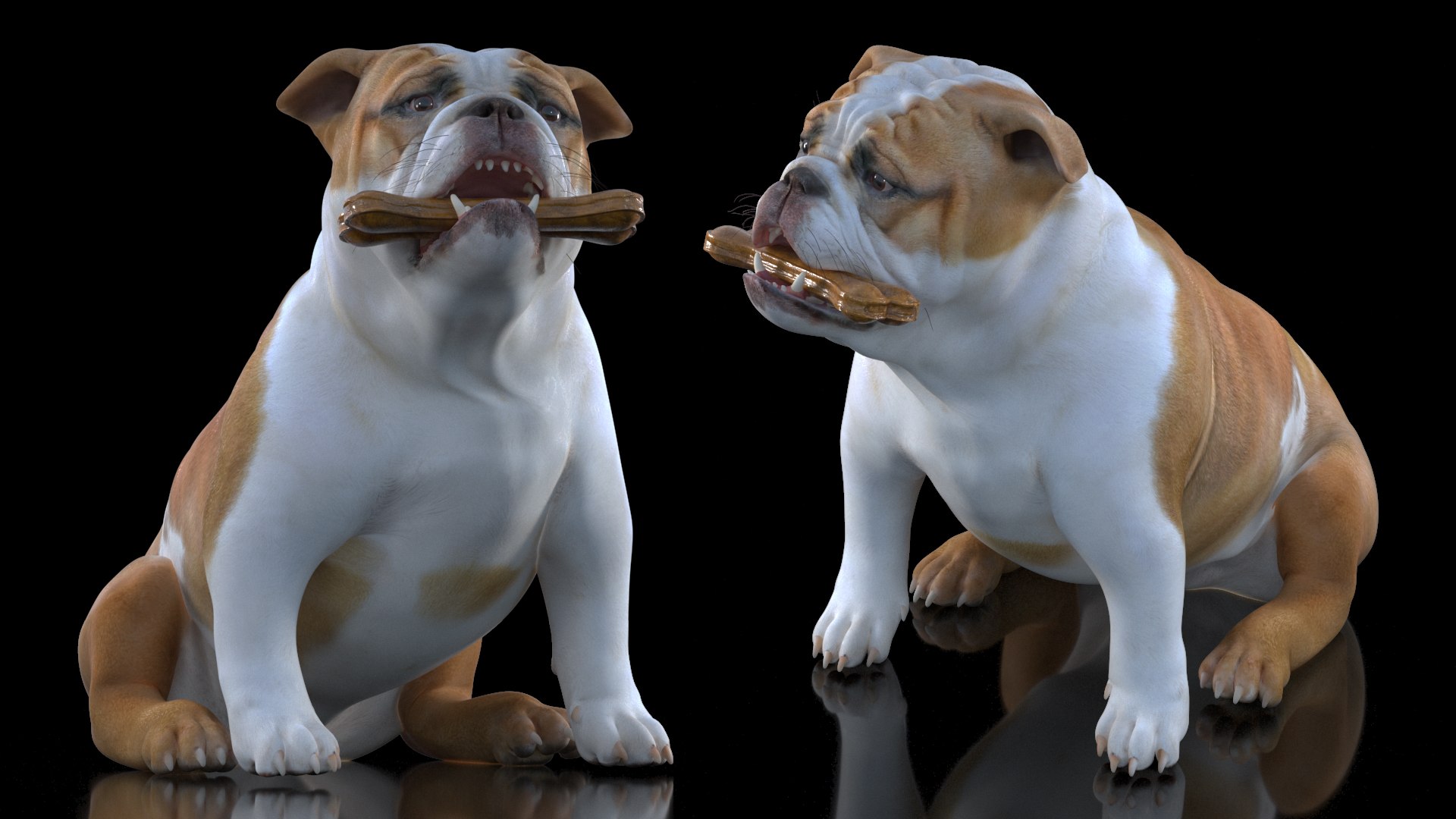 Bulldog With A Chewing Bone In His Mouth 3D Model - TurboSquid 2180790