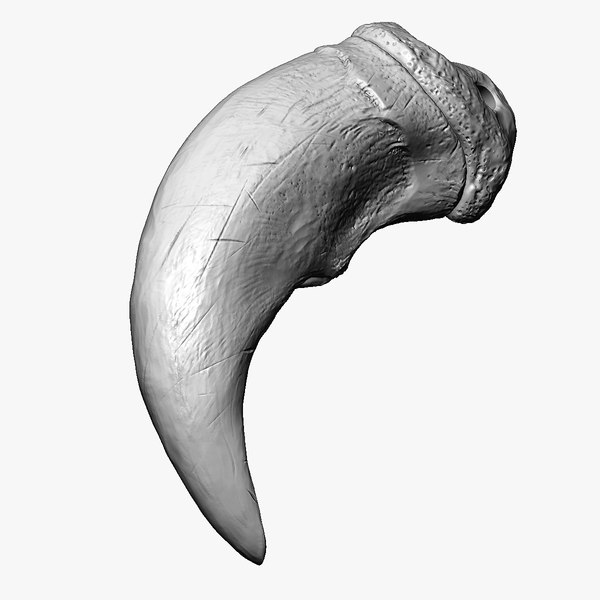 Free 3D Pendant Models | TurboSquid