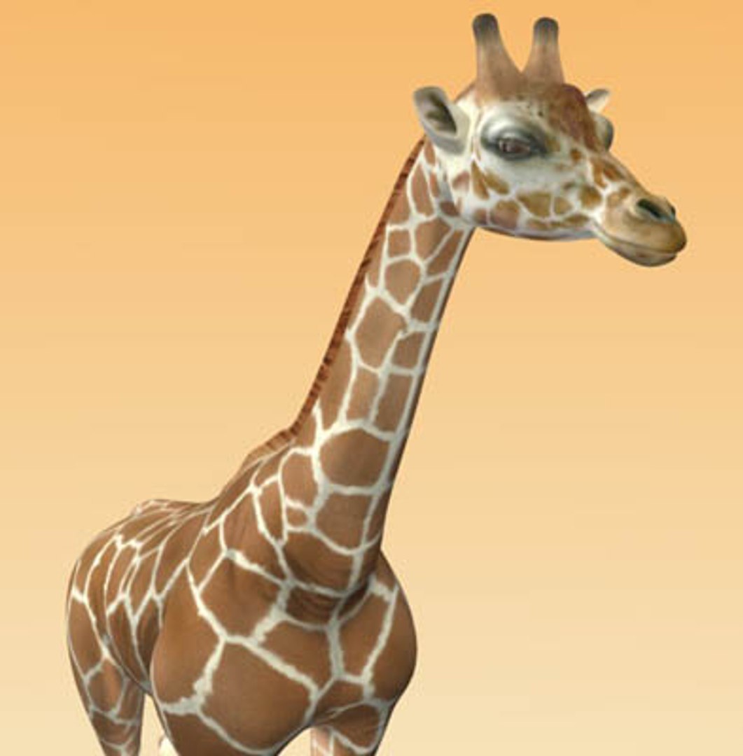 maya giraffe