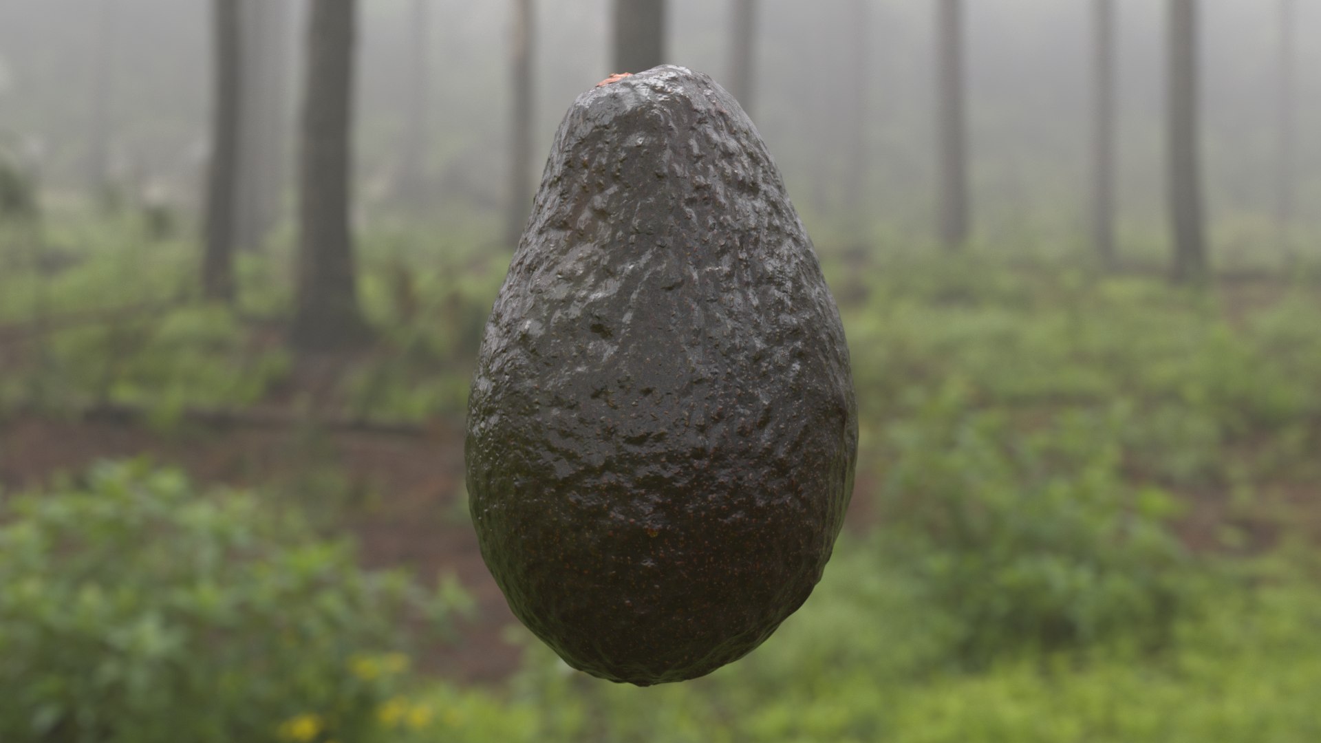3D Avocado Fruit - TurboSquid 1648561