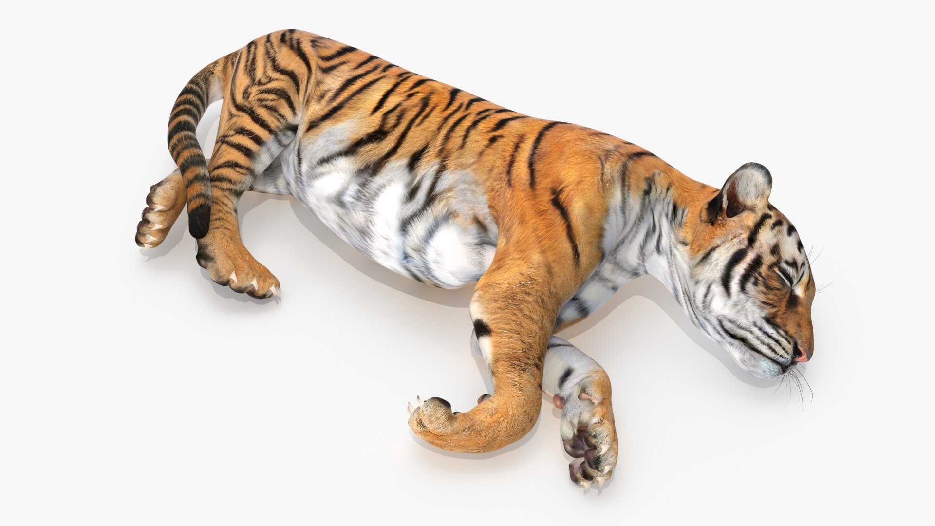 3D Tigers Under Tree Collection - TurboSquid 2357105