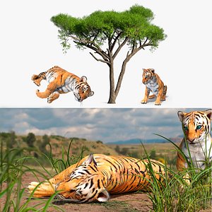 3D Tiger Models - Browse & Download Formats - TurboSquid