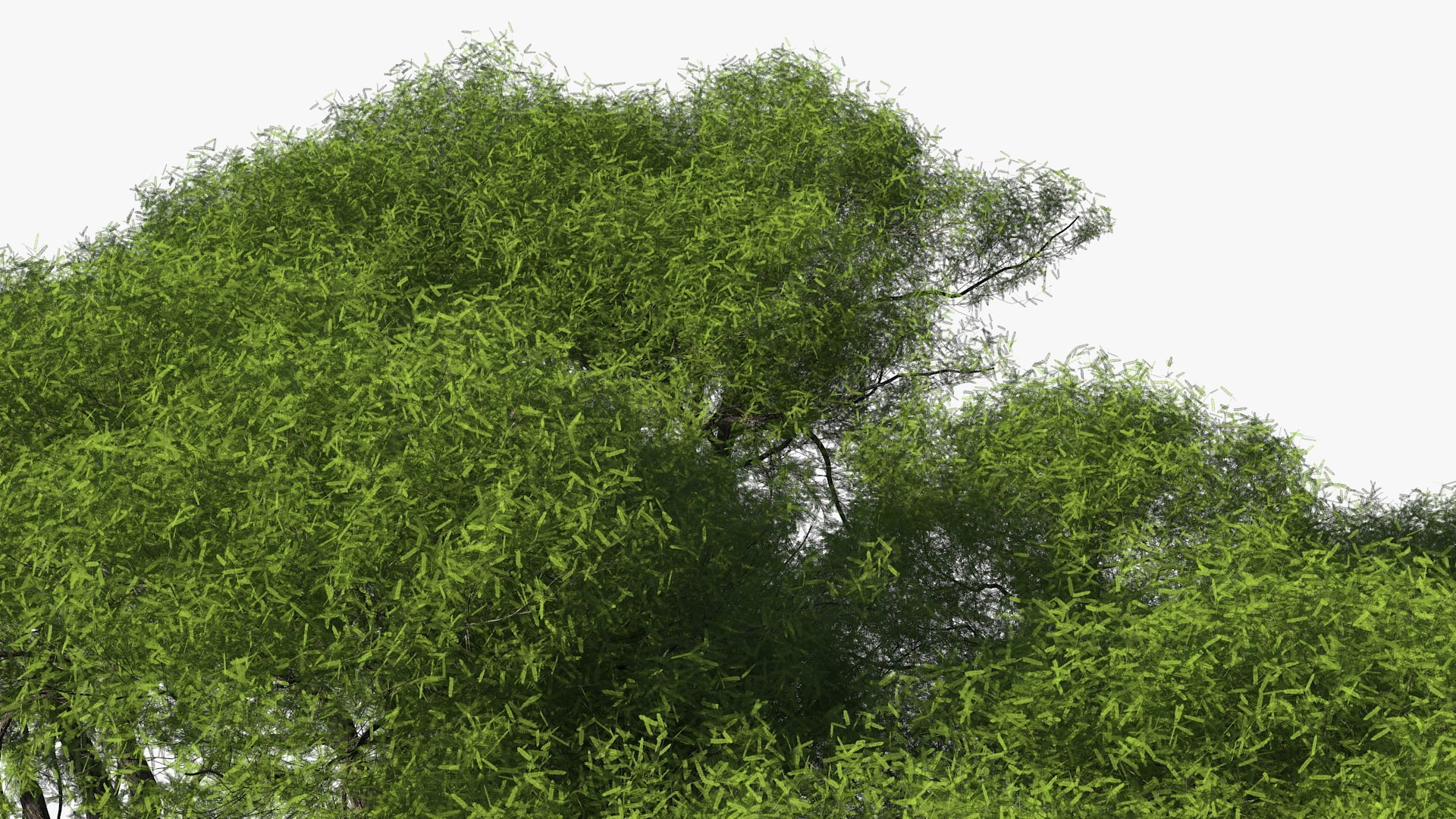 3D Tigers Under Tree Collection - TurboSquid 2357105
