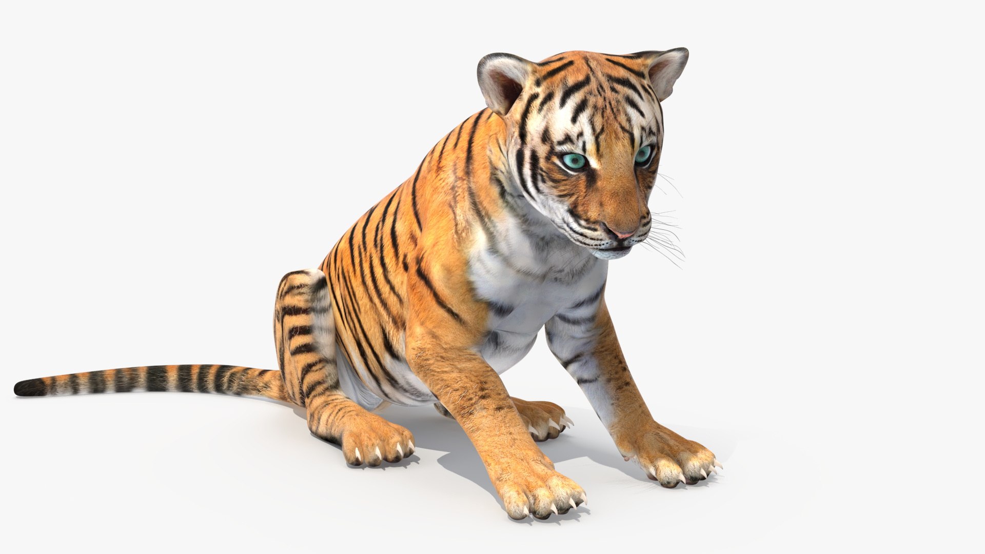 3D Tigers Under Tree Collection - TurboSquid 2357105