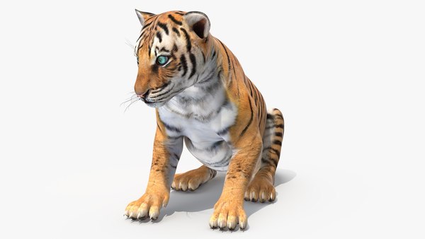 modelo 3d Colección Tigres bajo el árbol - TurboSquid 2357105