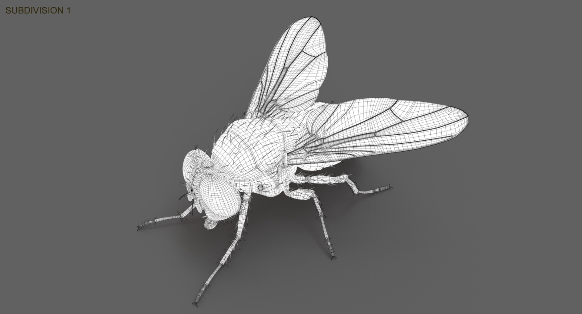 Housefly Animation 2 3D Model - TurboSquid 1343132