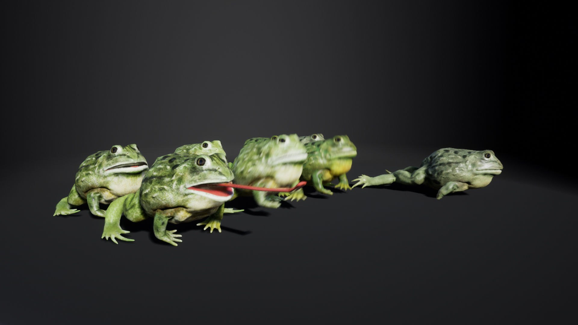 Pixie frog 3D model - TurboSquid 1707976