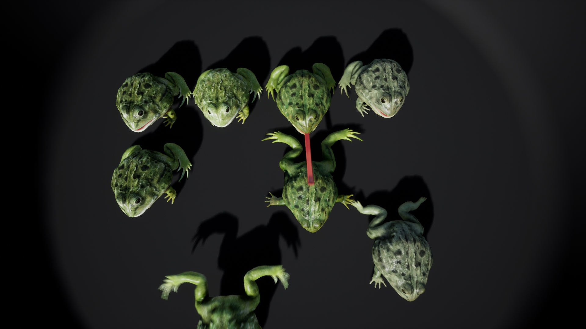 Pixie frog 3D model - TurboSquid 1707976