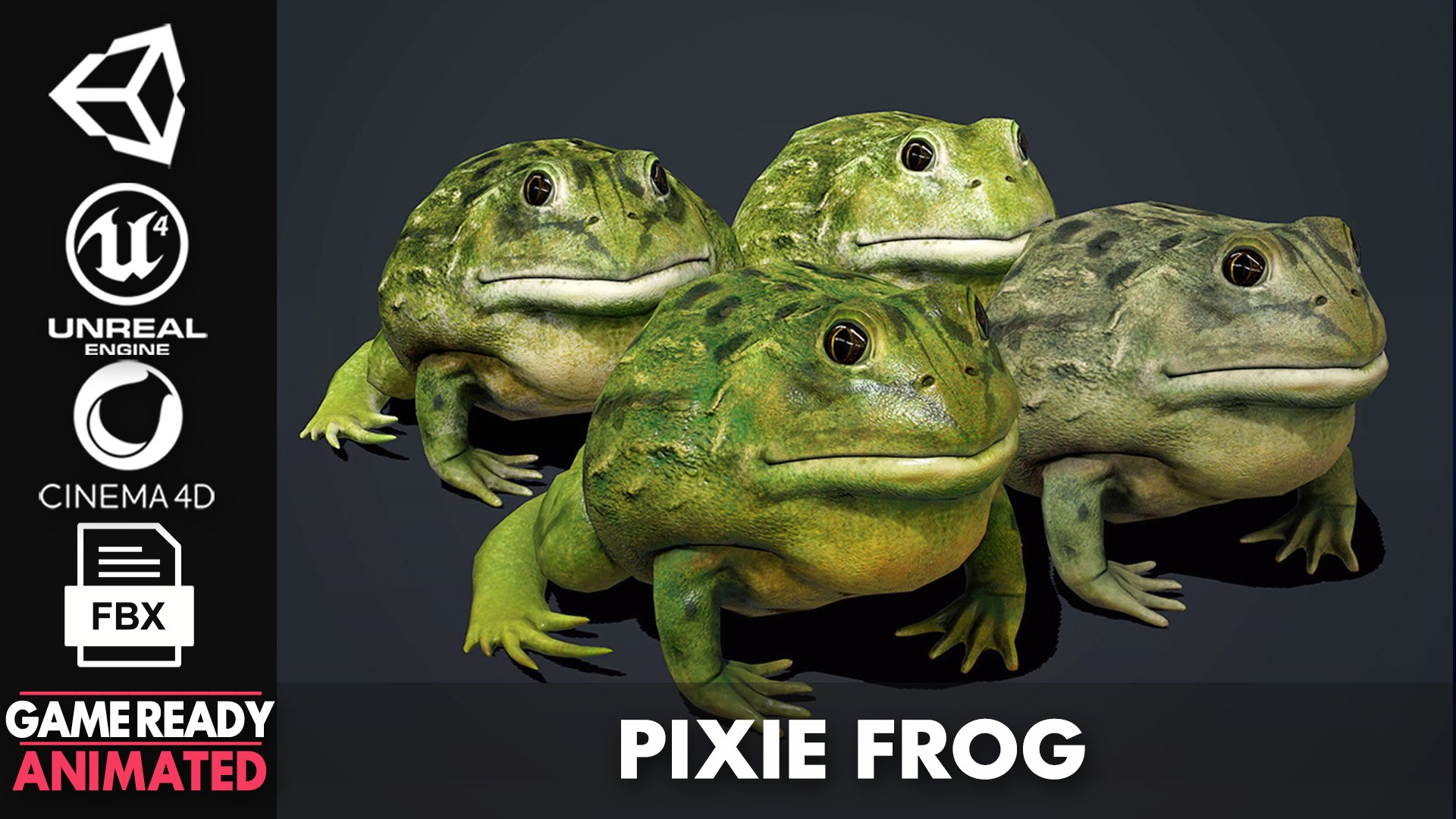 Pixie Frog 3D Model - TurboSquid 1707976
