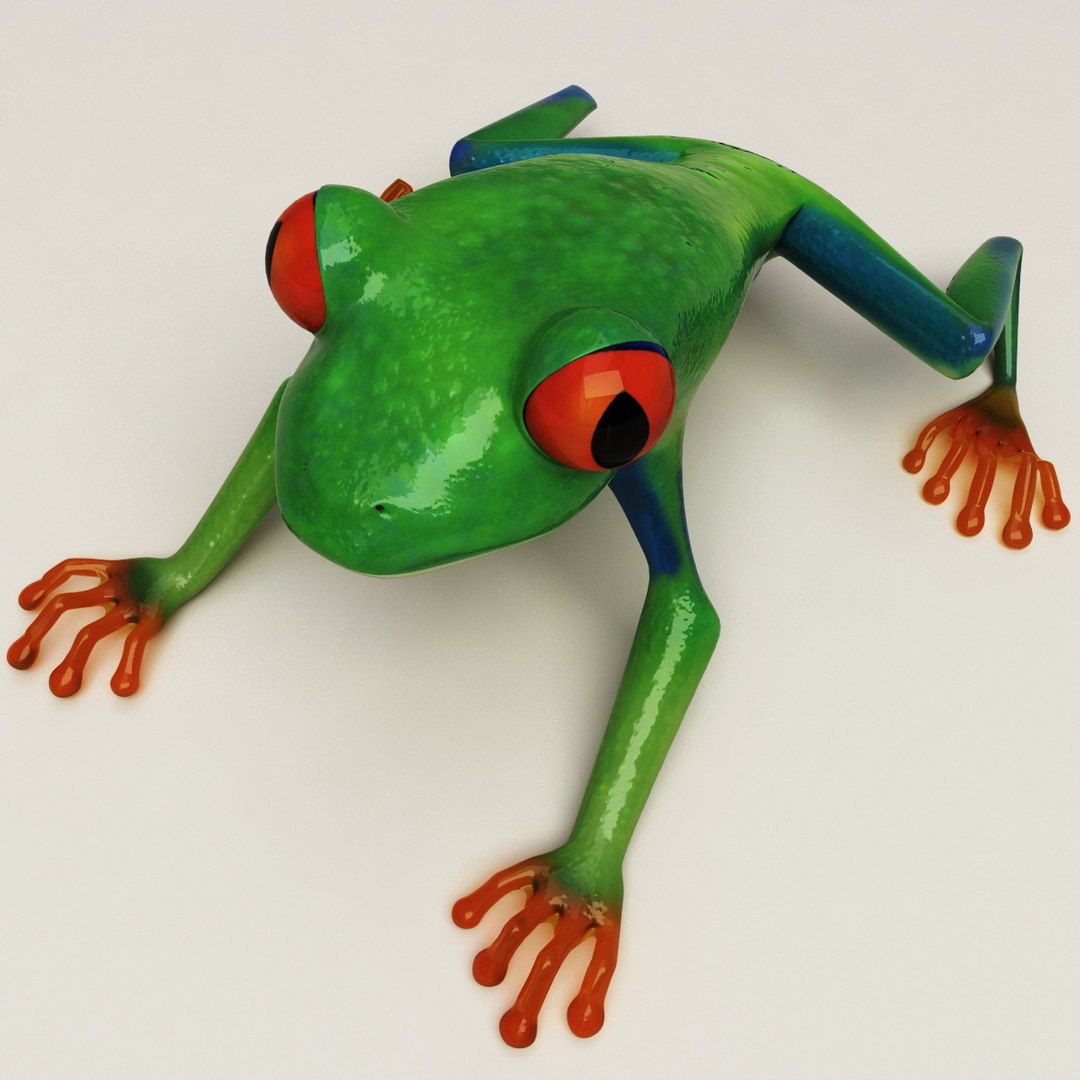 3d red eyed tree frog