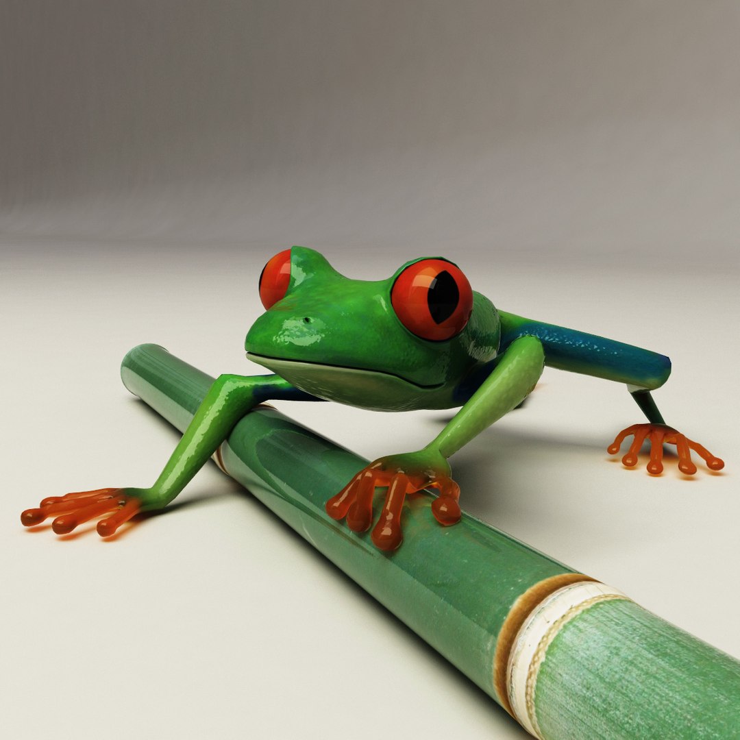3d red eyed tree frog