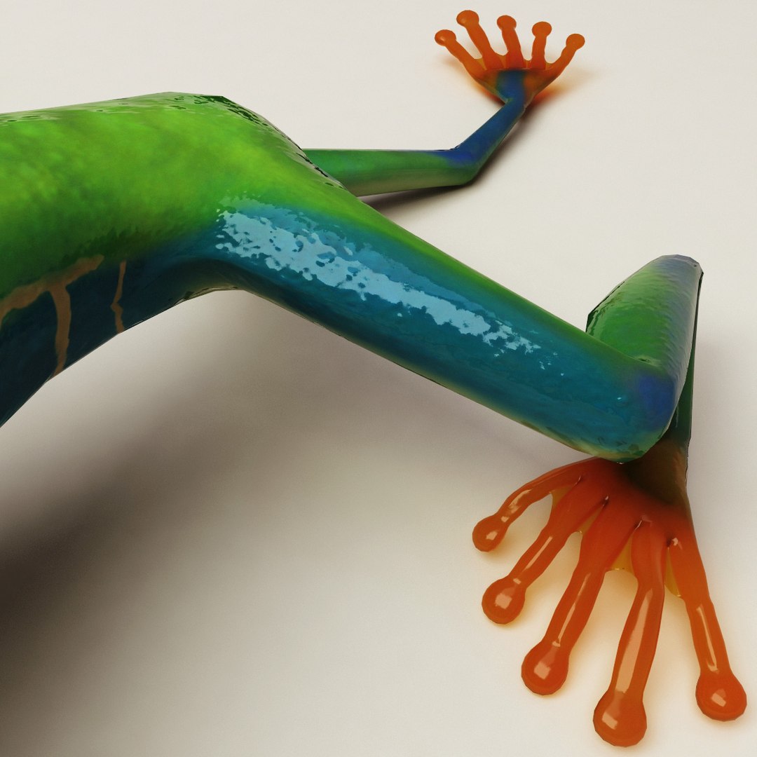 3d red eyed tree frog